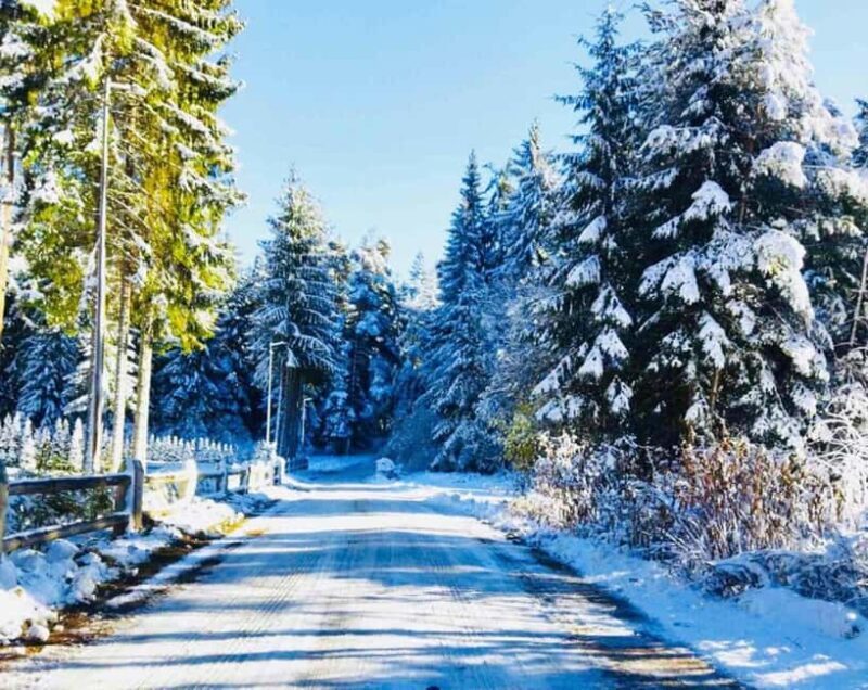 Day Tour: Ski Borovets & Relax in Thermal Pools and Sauna - A Closer Look at the Day Trip to Borovets