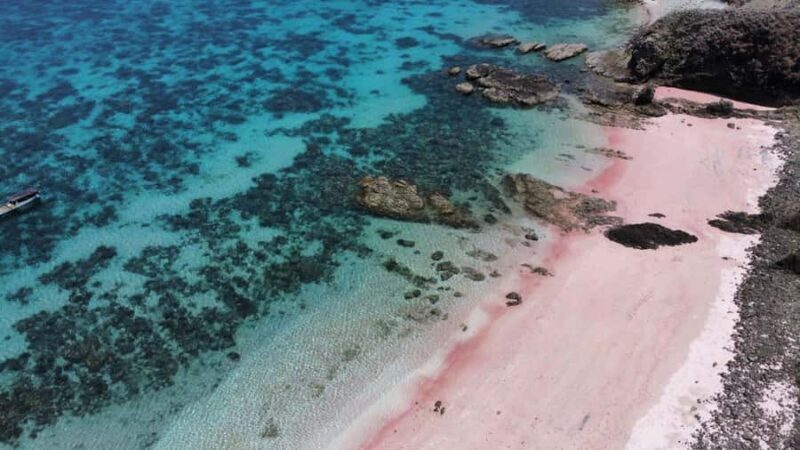 Day Tour Southeast,Lombok Pink Beach& Gili Island - Exploring Lombok’s Pink Beach & Gili Islands: A Detailed Review