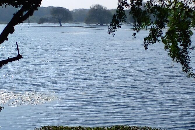 Day Tour to Anawilundawa Wetland Sanctuary - A Realistic Look at Cost and Value