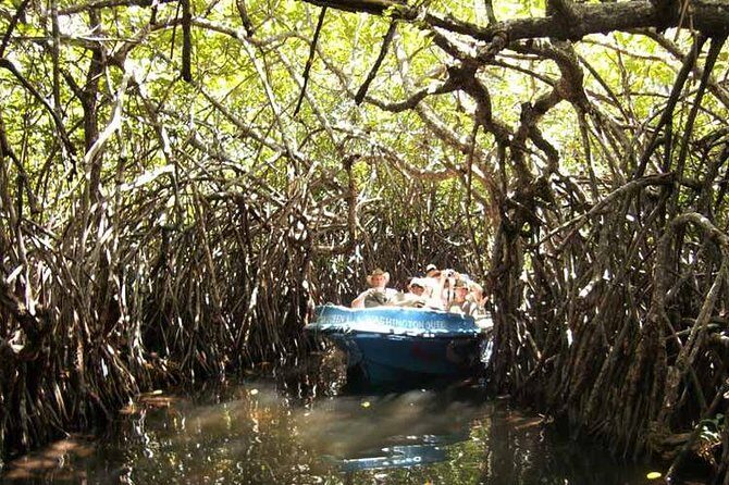 Day Tour to Bentota from Negombo - The Bottom Line