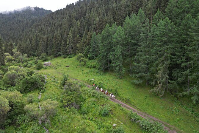Day Tour to Burana Tower and Chon Kemin Valley from Bishkek - The Sum Up