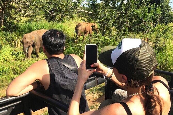 Day Tour to Dambulla, Sigiriya and Safari from Kandy (Group Tour) - Who Should Consider This Tour?