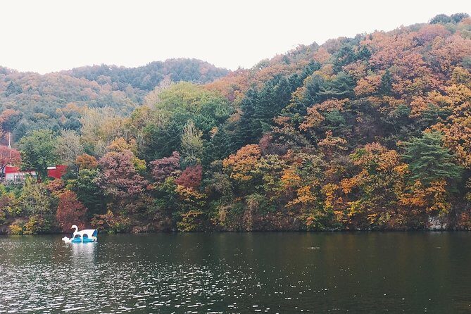 Day Tour to Gangchon Rail Bike Nami Island and Petite France - An In-Depth Look at the Tour Experience
