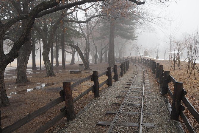 Day Tour to Gangchon Rail Bike Nami Island and Petite France - FAQs