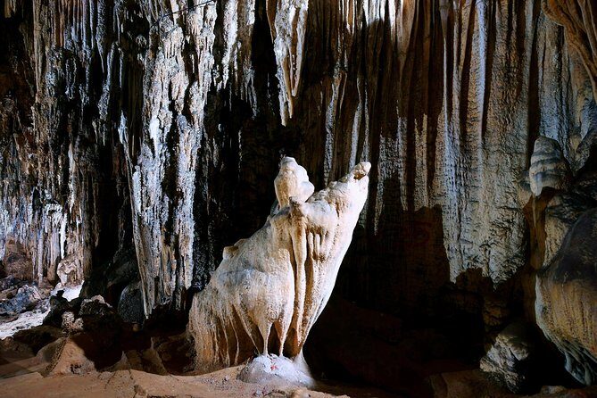 Day-tour to Hoa Lu - Tam Coc - Authentic Experiences and Traveler Feedback