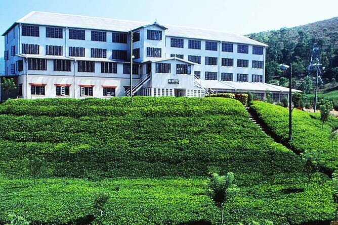 Day Tour to Kandy From Colombo - FAQs About the Kandy Day Tour