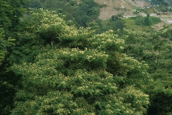 Day Tour to Kunchepwakal Village Culture & Scenic Landscapes - Practicalities That Matter