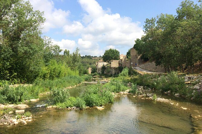 Day Tour to Lagrasse village and Fontfroide Abbey.Private tour from Carcassonne. - Who Should Consider This Tour?