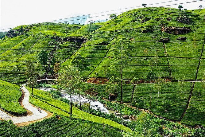 Day Tour to Nuwara Eliya from Kandy by Lux Tours Lanka - A Deep Dive into the Tour: What to Expect