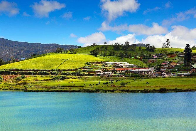 Day Tour to Nuwara Eliya from Kandy by Lux Tours Lanka - The Sum Up