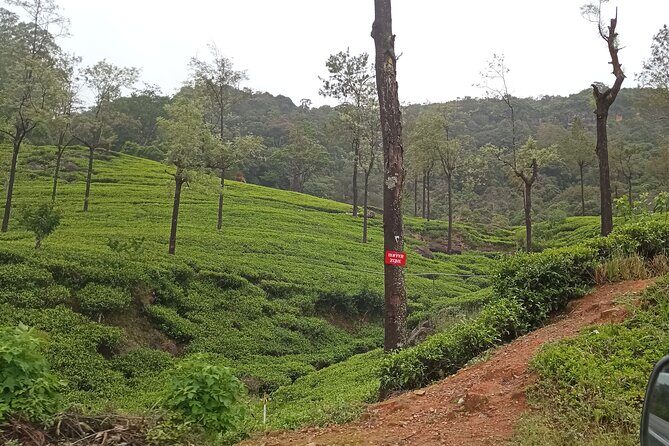 Day tour to Nuwaraeliya from Kandy - FAQ