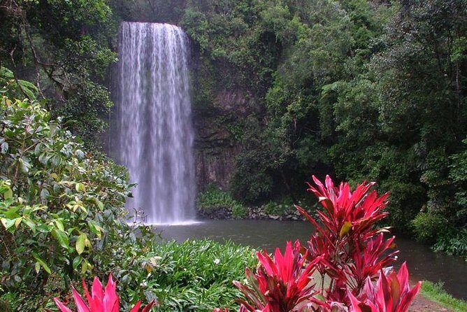 Day Tour to Paronella Park, Lake Barrine and Millaa Millaa Falls - Introduction: What makes this tour special?