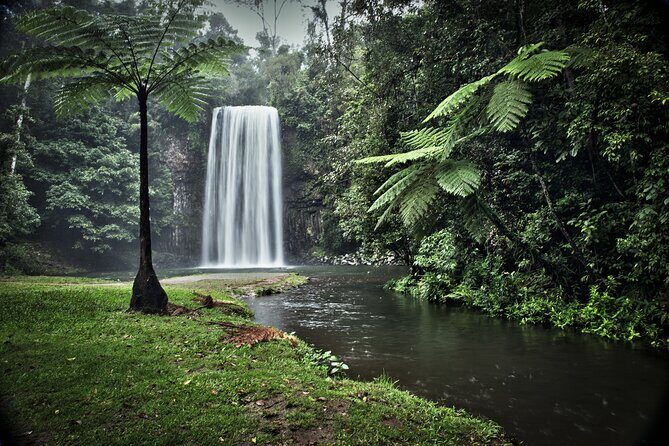 Day Tour to Paronella Park, Lake Barrine and Millaa Millaa Falls - Millaa Millaa Falls: A Classic Australian Waterfall