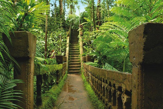Day Tour to Paronella Park, Lake Barrine and Millaa Millaa Falls - Authentic Highlights and Practical Considerations