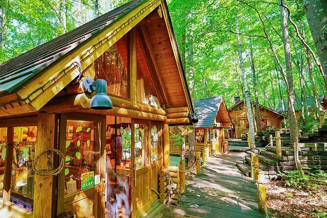 Day tour to Shikisai-no-oka, Asahiyama Zoo, Blue Pond | Sapporo - Key Points