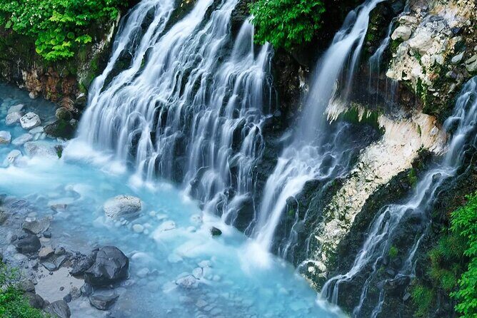 Day tour to Shikisai-no-oka, Asahiyama Zoo, Blue Pond | Sapporo - The Itinerary in Detail