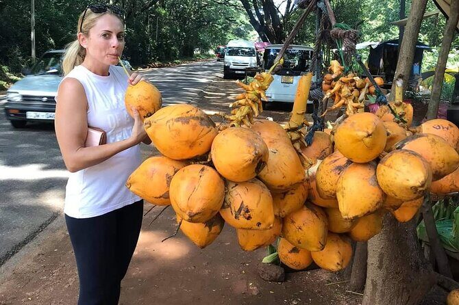 Day tour to Sigiriya & Dambulla from Kandy - Overview of the Tour Experience