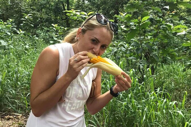 Day tour to Sigiriya & Dambulla from Kandy - Practical Considerations