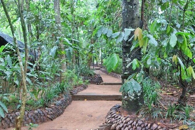 Day Tour to Sigiriya Rock Fortress & Dambulla Rock Cave Temple. - FAQ