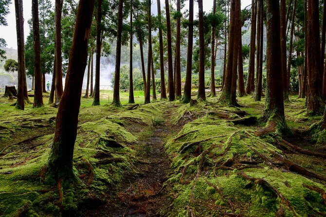 Day tour to the amazing Sete Cidades - FAQs