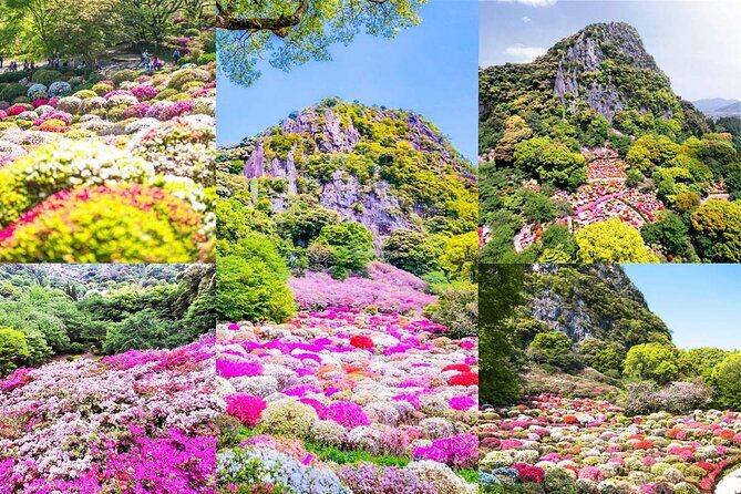 Day Tour to Yutoku Inari Shrine & Sachihime Sake Brewery| Fukuoka - Key Points