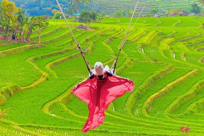 Day Tour Twinlake View Tamblingan, Jatiluwih - Tanah Lot Sunset - Who Will Love This Tour?