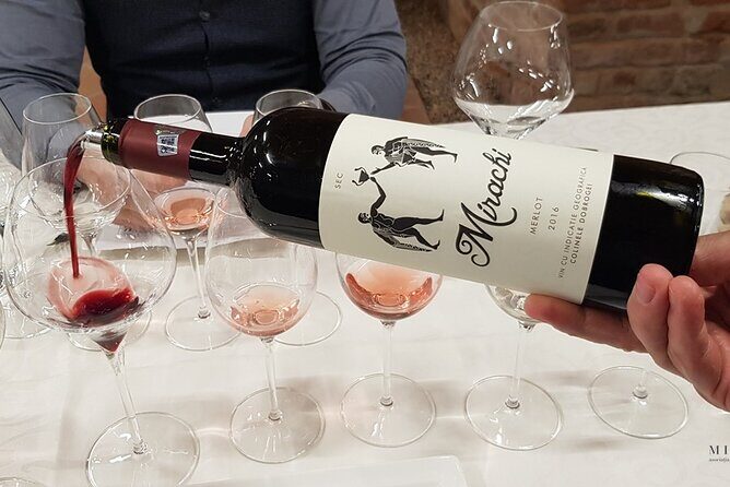 Day Tour: Visit Histria Winery and Ancient Citadel - Introduction: What to Expect from the Histria Winery and Ancient Citadel Tour