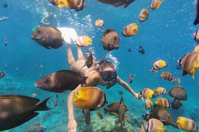 Day Tour West Nusa Penida and Snorkeling From Nusa Lembongan - Final Words