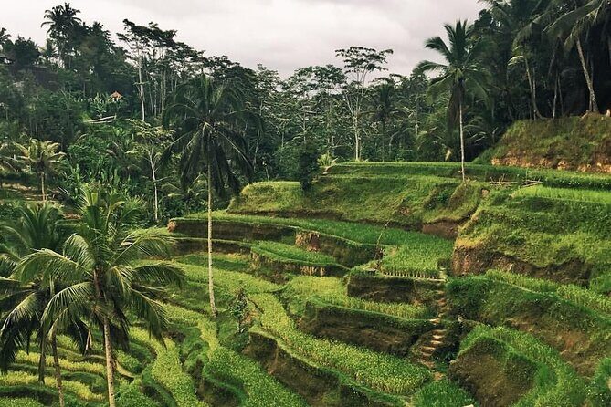 Day Tour with Sunrise and waterfall - FAQ