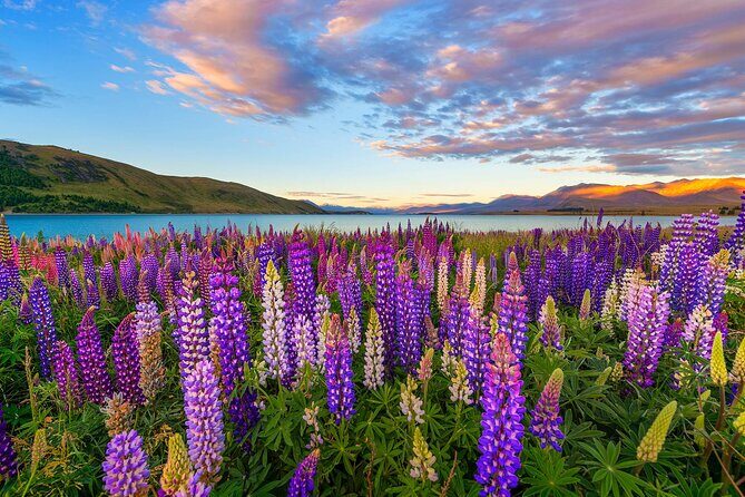 Day Tours from Mount Cook - FAQ