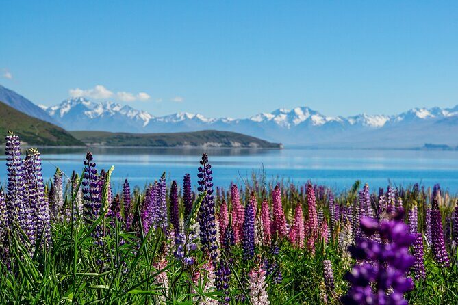 Day Tours from Mount Cook - The Sum Up
