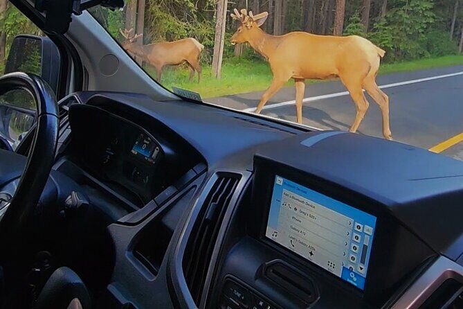 Day Tours in Banff National Park - FAQ