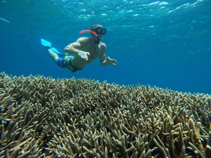 Day Trip 3 Secret Gilis in West South Of Lombok - Who Will Appreciate This Tour?