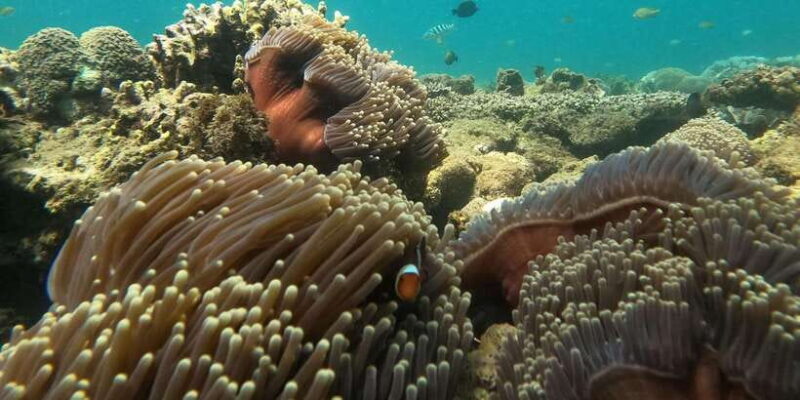 Day Trip 5 Secret Giilis in West South of Lombok - Key Points