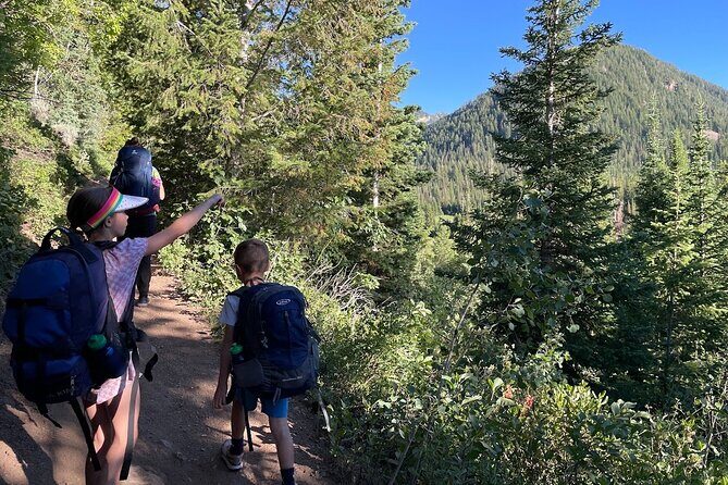 Day Trip Activity at Utah Mountain Backcountry with Box Lunch - What to Expect: A Detailed Itinerary Breakdown
