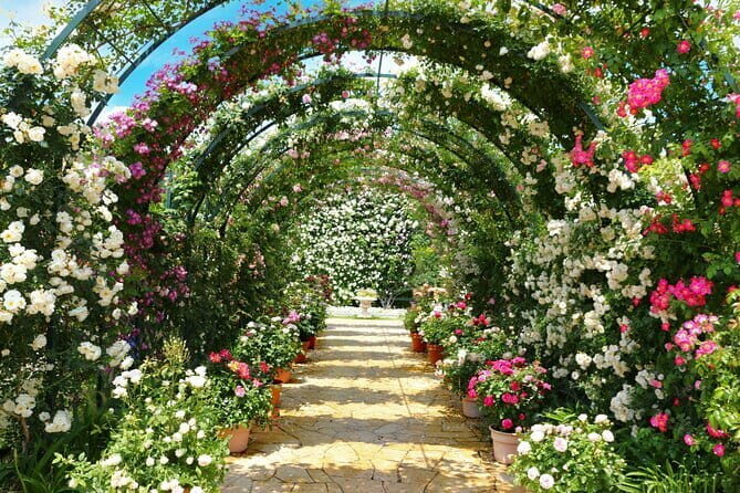 Day Trip Ashikaga Flower Park by Private Car from Tokyo - Key Points