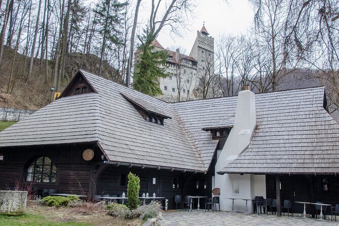 Day Trip Bear Sanctuary, Bran Castle, Rasnov Fortress from Brasov - An In-Depth Look at the Tour