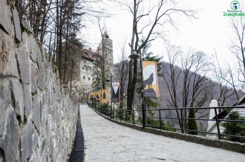 Day trip Bran Castle, Rasnov Fortress and Bear Sanctuary - Itinerary Breakdown: What Youll Experience