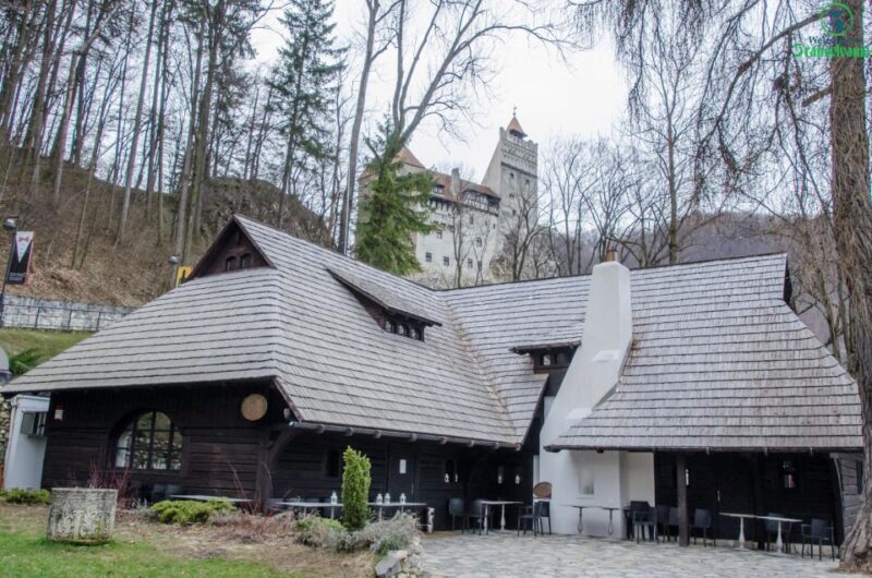 Day trip Bran Castle, Rasnov Fortress and Bear Sanctuary - The Sum Up