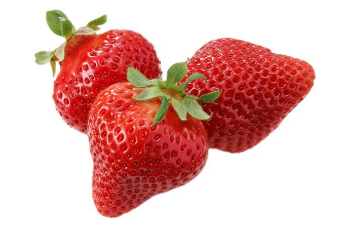 Day Trip Bus Tour to Fruits Pick & Dazaifu, Itoshima from Fukuoka - Who Is This Tour Best For?