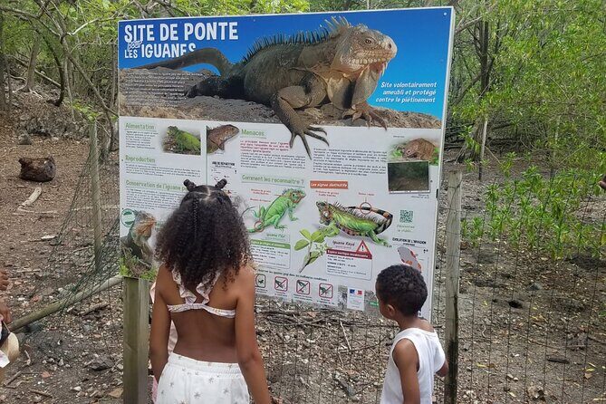 Day Trip by Boat from Le Robert - Key Points