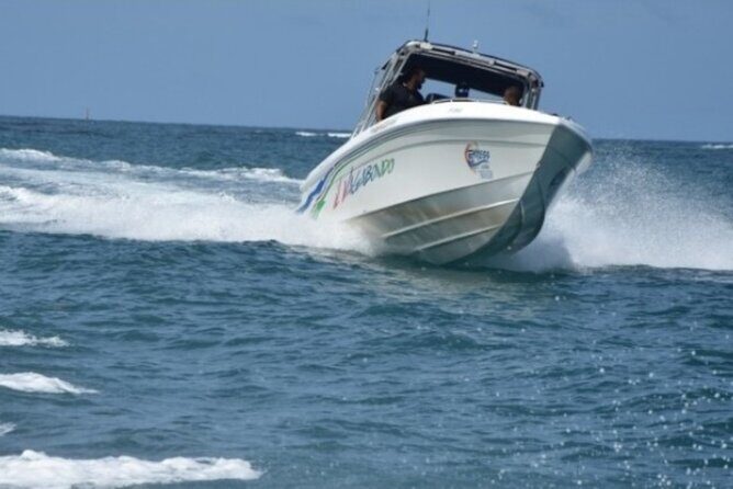 Day Trip by Boat from Le Robert - The Crew and Service: A Highlight According to Reviews