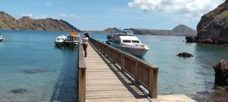 Day Trip Explore Komodo National Park by Private Speed Boat - Practical Considerations