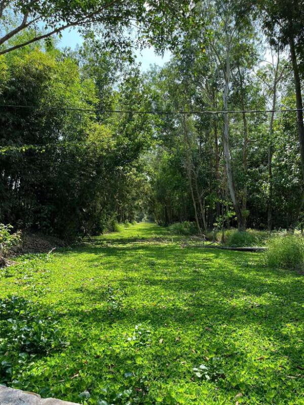 Day Trip: Floating Market & Mua Xuan Forest Half-Day Tour - Why This Tour Stands Out