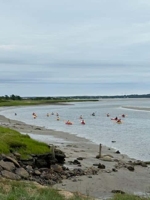 Day Trip from Boston: Guided Kayak at the Crane Estate - Key Points