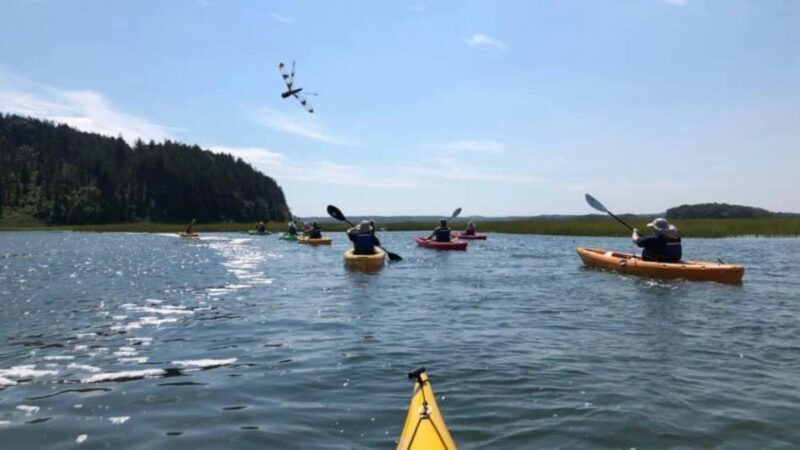 Day Trip from Boston: Guided Kayak at the Crane Estate - The Guides and Their Role