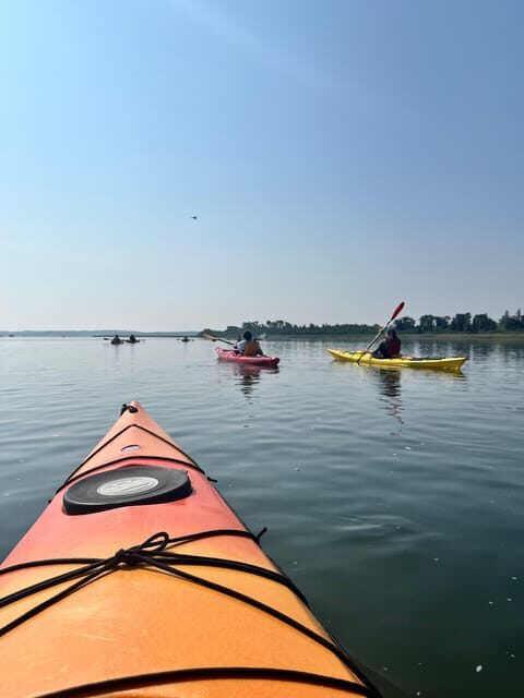 Day Trip from Boston: Guided Kayak at the Crane Estate - Key Points