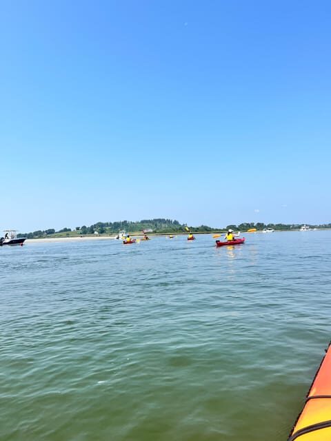 Day Trip from Boston: Guided Kayak at the Crane Estate - An In-Depth Look at the Experience