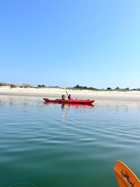 Day Trip from Boston: Guided Kayak at the Crane Estate - The Value and Who Should Consider It