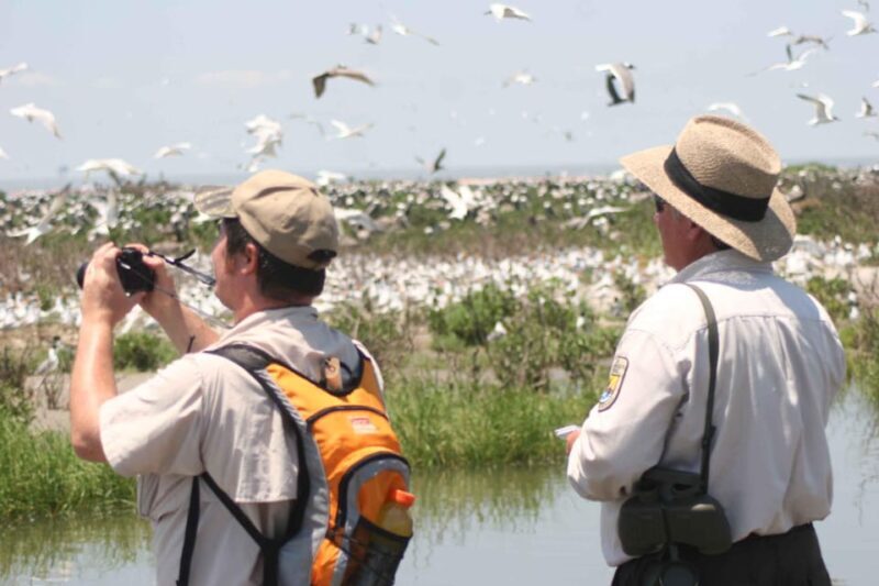 Day Trip from Boston: Guided Nature Walk at Crane Estate - Introducing the Crane Estate Day Trip